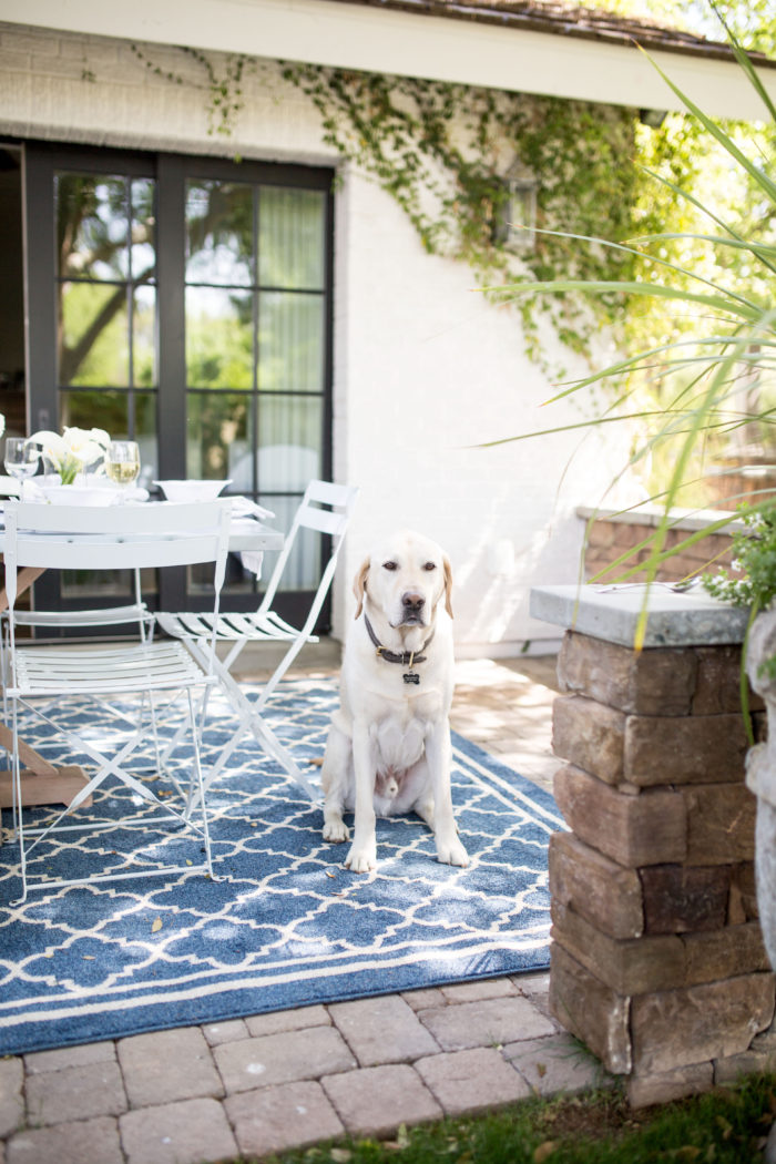 Casual Patio Lunch with Friends - to have + to host