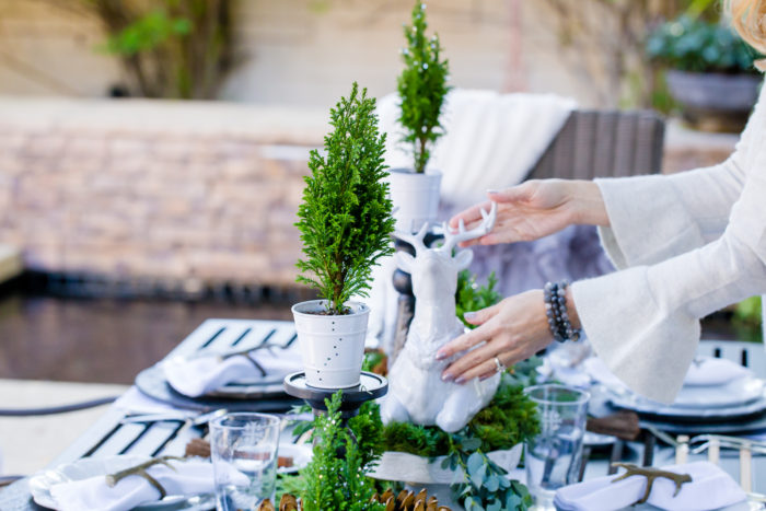 White Winter Wonderland Brunch - to have + to host