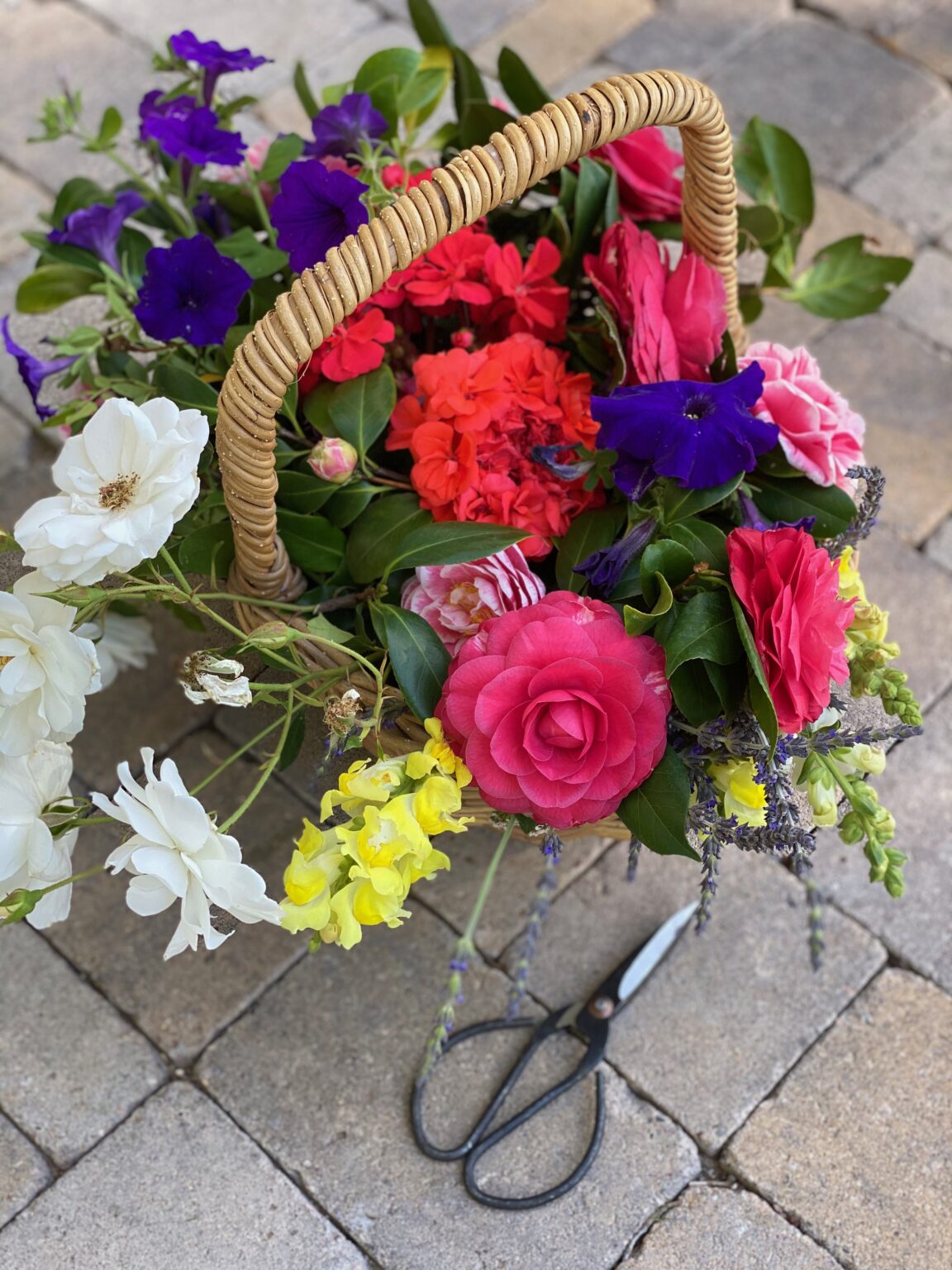 Quarantine Projects: Do Some Good - to have + to host