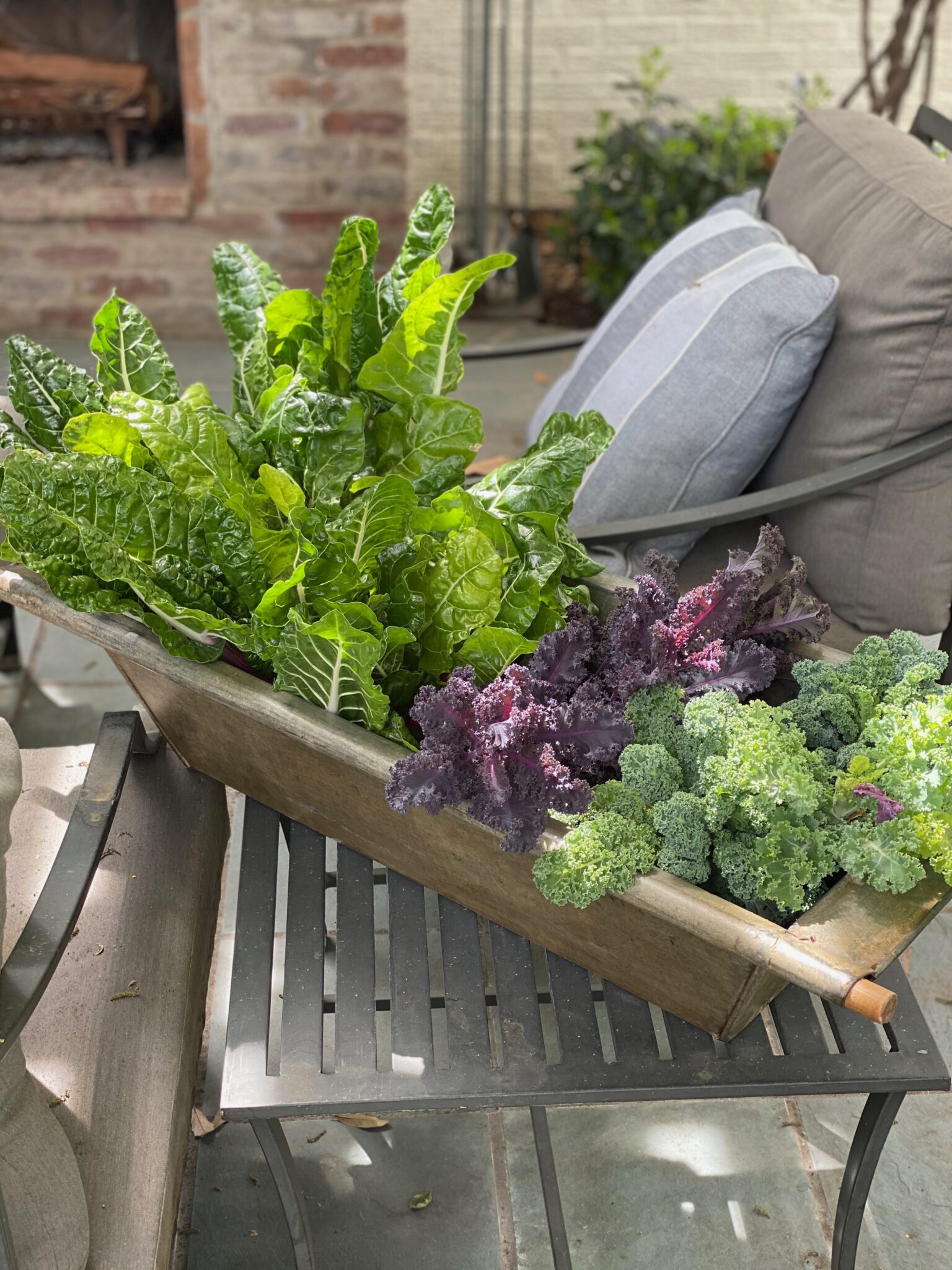 Quarantine Projects: Do Some Good - to have + to host