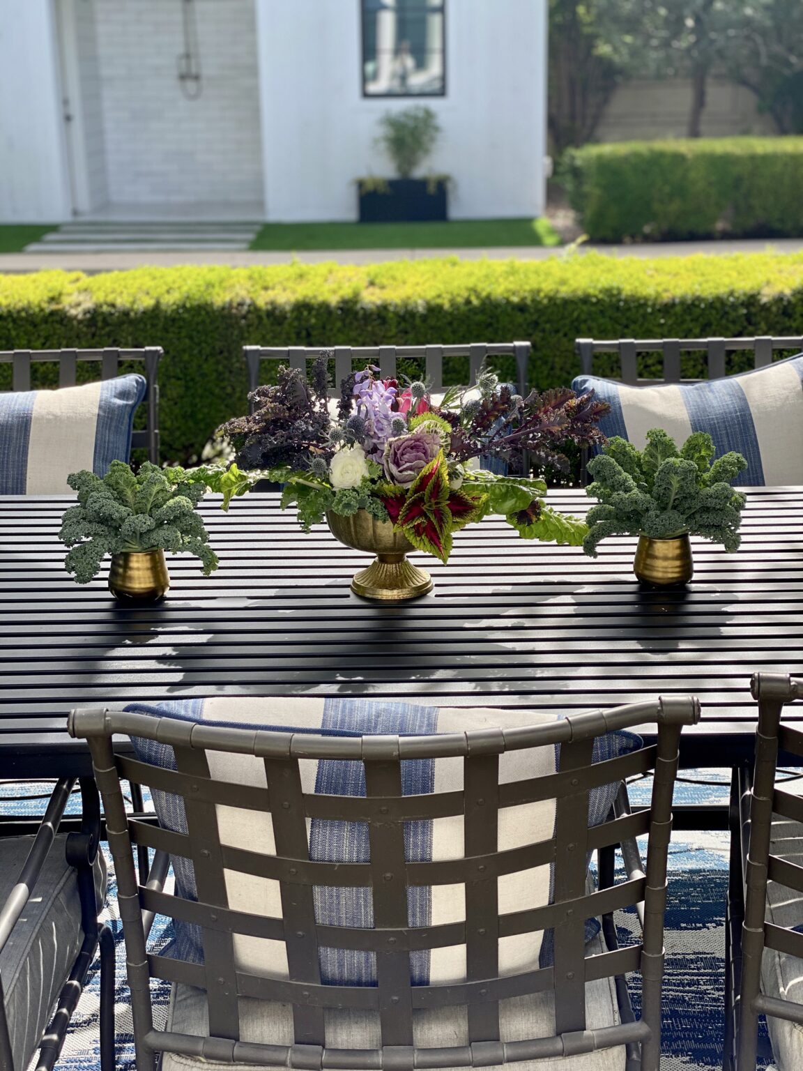 Quarantine Projects: Do Some Good - to have + to host