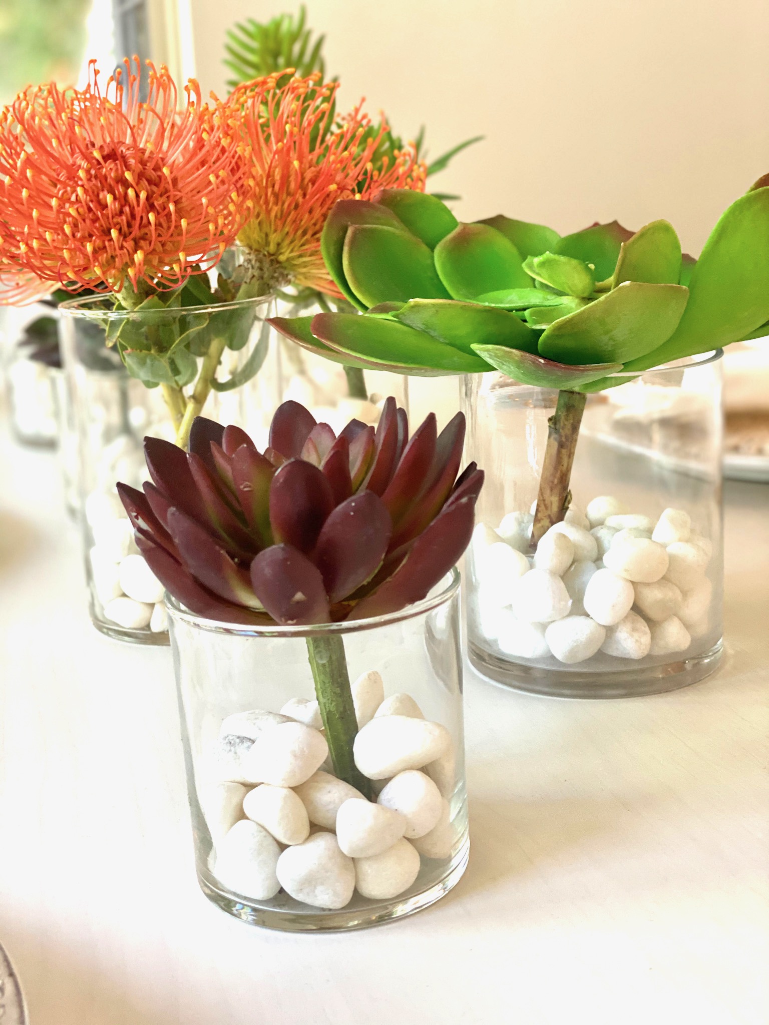 Succulent Plant Table: Perfect Desert Decor - to have + to host